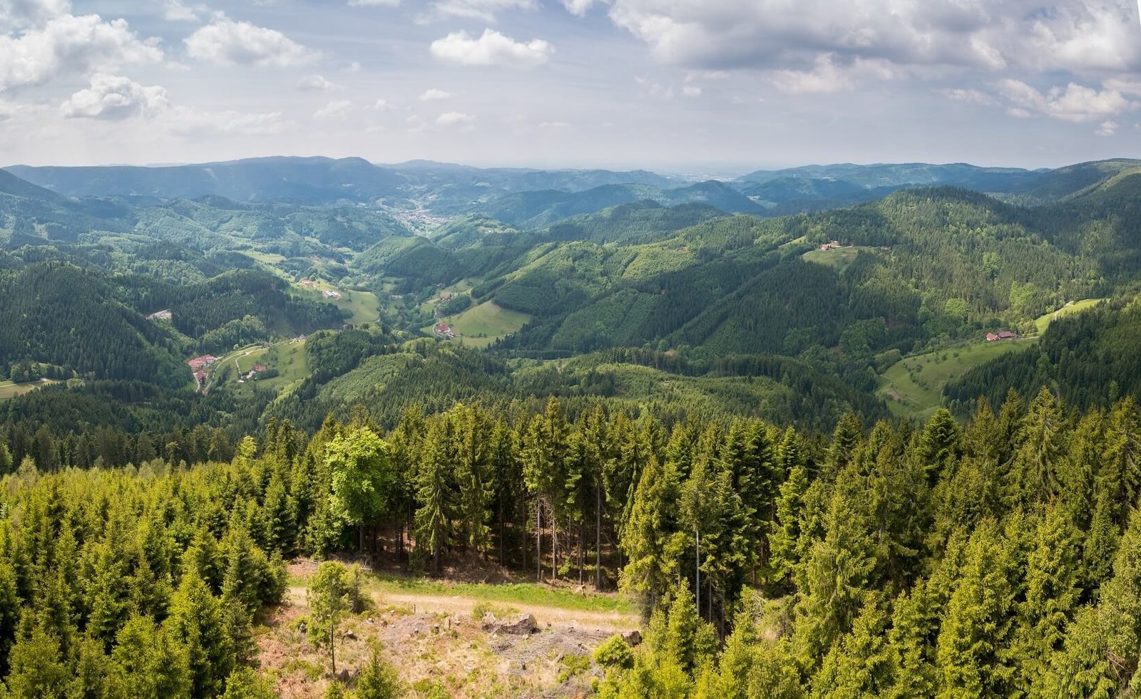Foresta Nera, Friburgo, Colmar - Mundivision